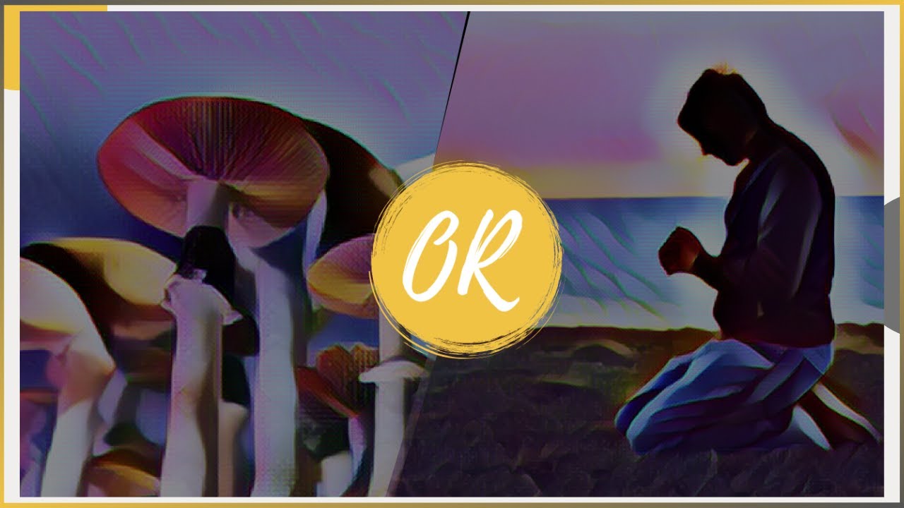 Psychedelic Mushrooms or Prayer to talk to God: Which is more effective? - YouTube