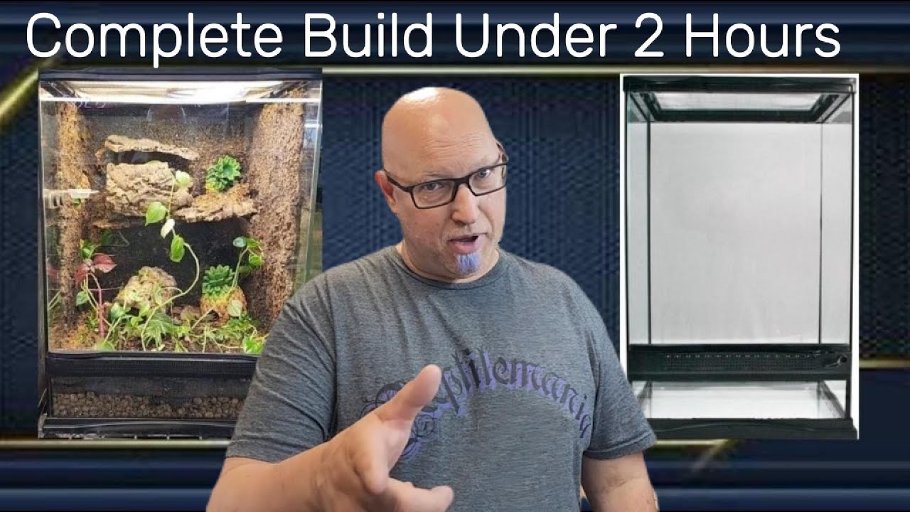 Full 18x18x24 Terrarium Build In Under 2 Hours - YouTube