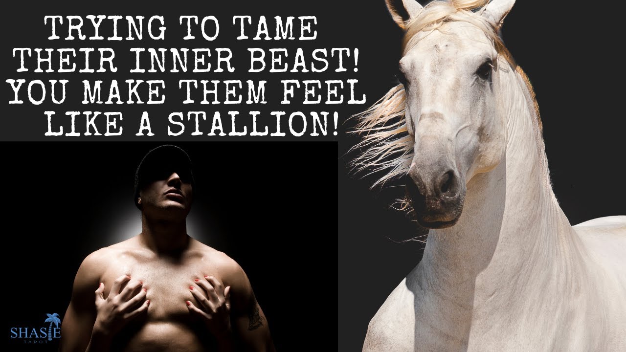 Trying to TAME their INNER BEAST, not WORKING! 🔥 ️‍🔥🥰 You MAKE THIS ...