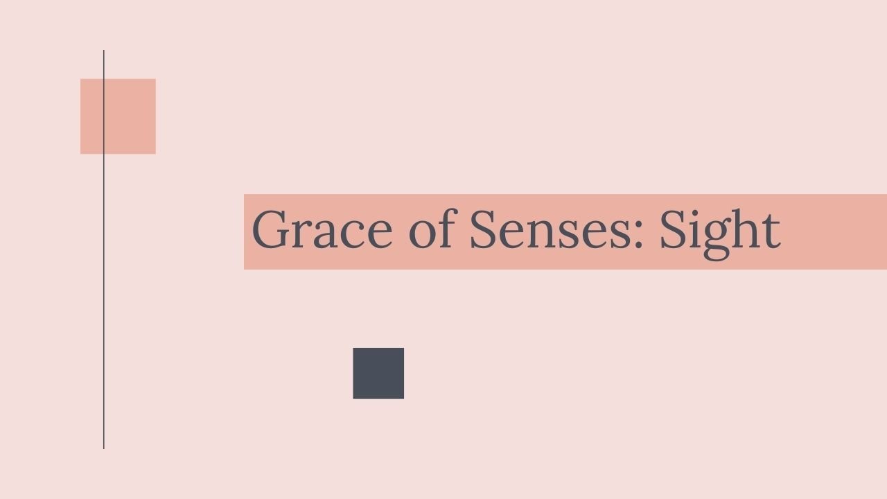 Grace of Senses | Sight - YouTube