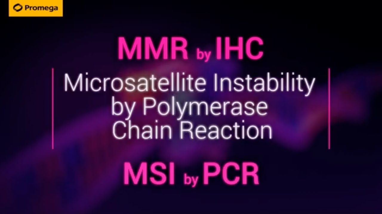 MMR by IHC vs MSI by PCR - YouTube