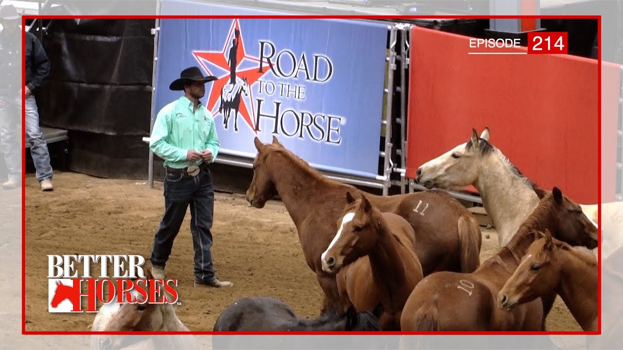 Better Horses Ep. #214, "Road To The Horse" Pat Parelli, Donal Hancock ...