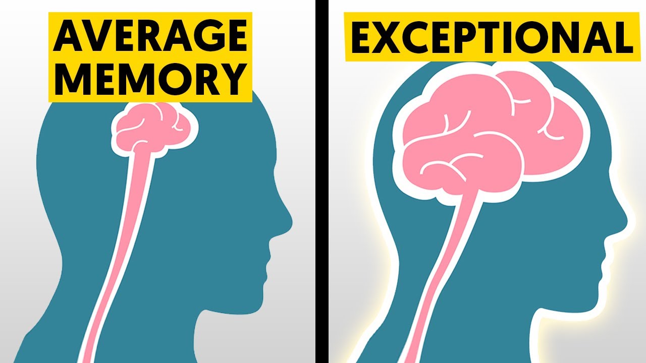 How To Memorise Anything In 1 Minute YouTube