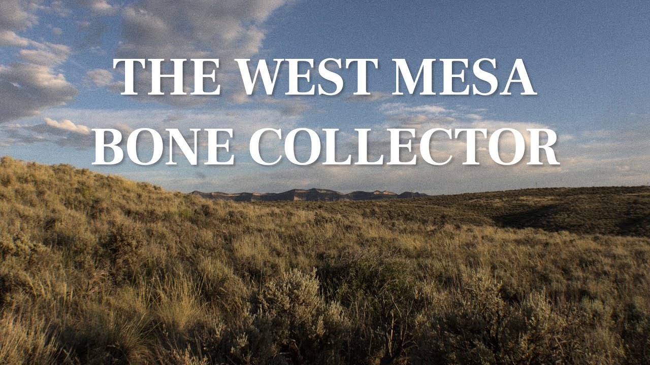 The West Mesa Bone Collector - YouTube