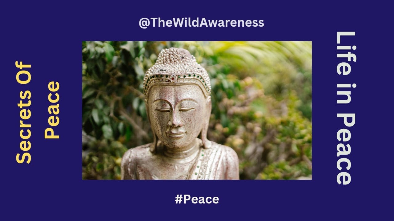 Unlocking the Power of Peace and Calm in a Busy World | Discovering ...