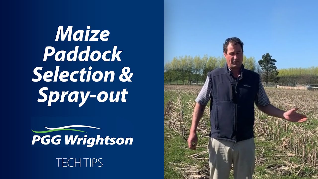 Maize Paddock Selection and Spray-out | PGG Wrightson Tech Tips - YouTube