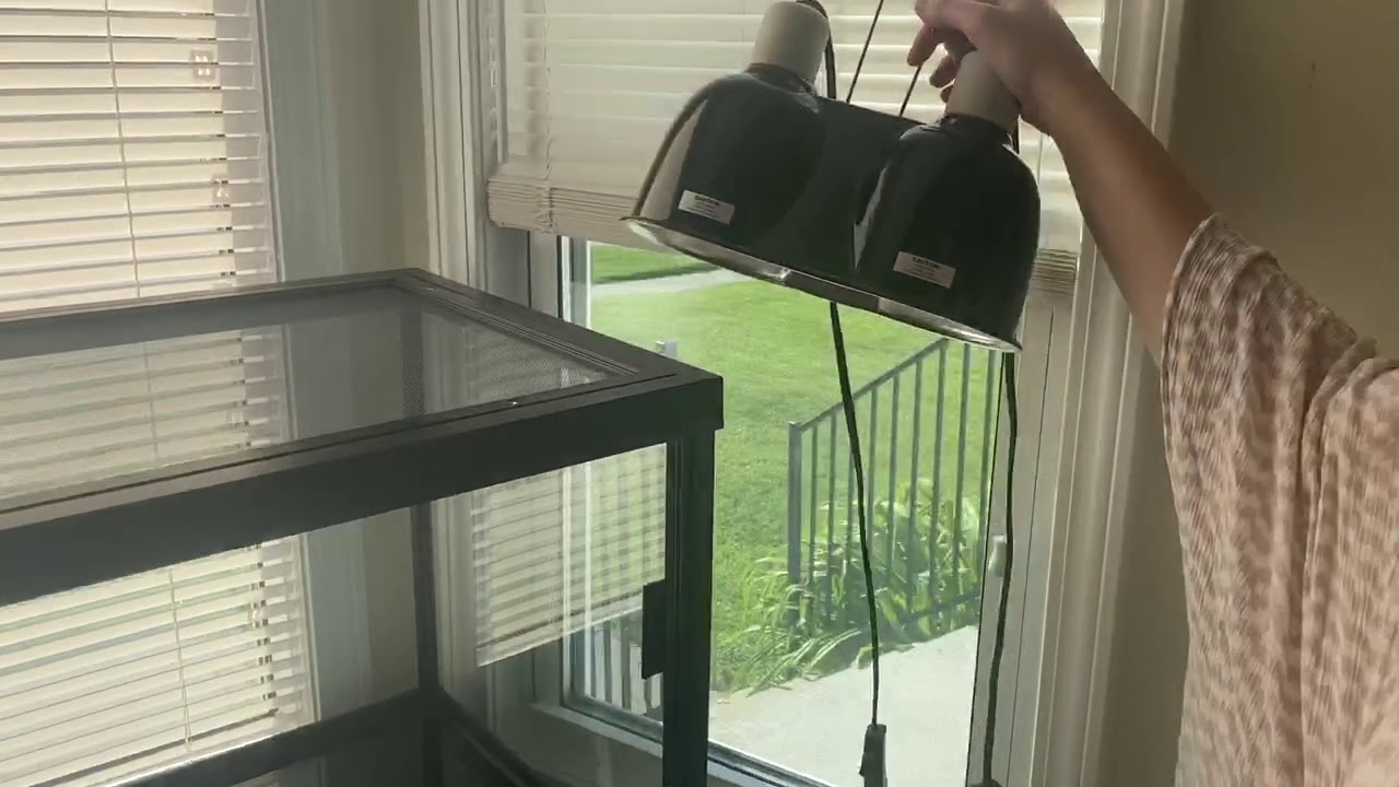 Place the Double Light Fixture - YouTube