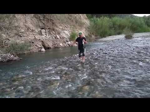 Akçay'da serpme ile Çay Balığı avı