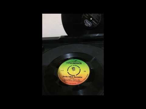 Müslüm Gürses  -  Sevda Yüklü Kervanlar (Orjinal Plak Kayıt)