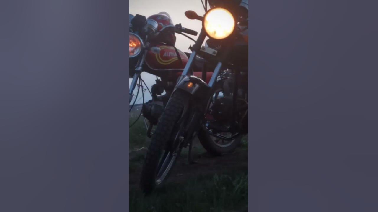 Альфы🤗 - YouTube