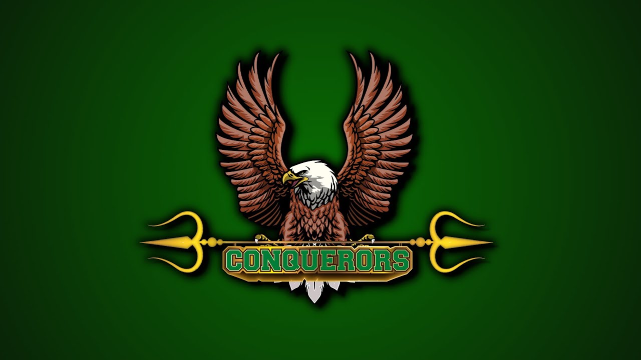 Team Conquerors Flashmob - Illusion '24 - YouTube