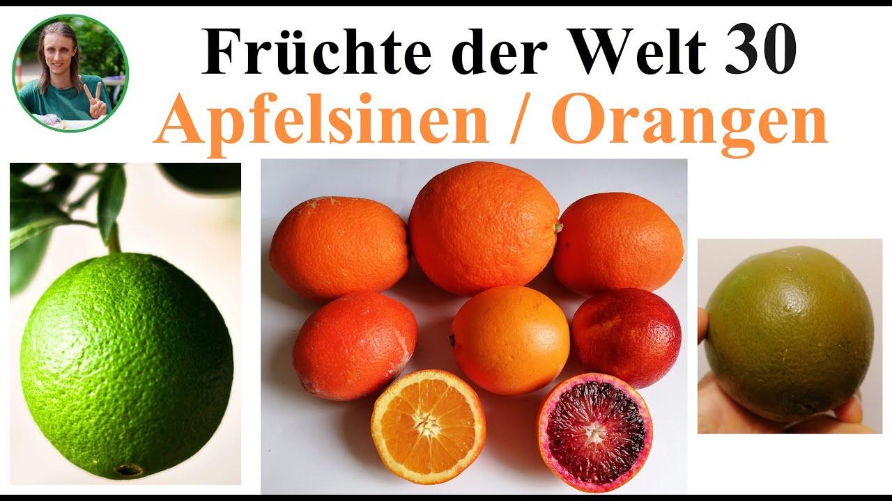 Früchte der Welt 30 – Apfelsine bzw Orange Pflanzliche Rohkost - YouTube
