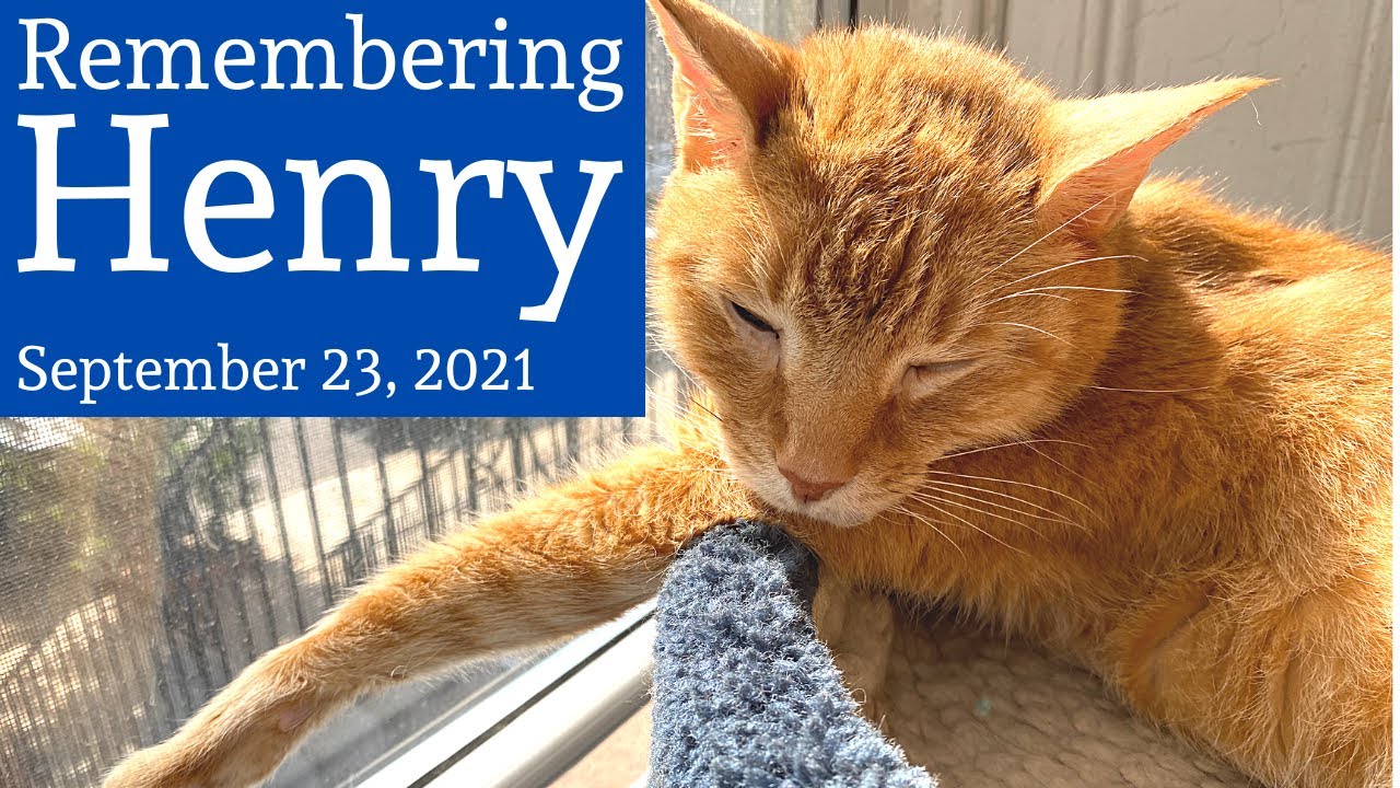 Remembering Henry — September 23, 2021 - YouTube