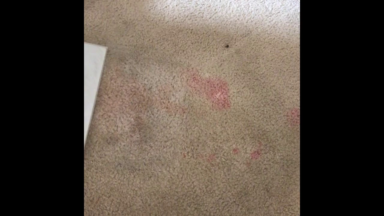 Red Stain Removal - YouTube