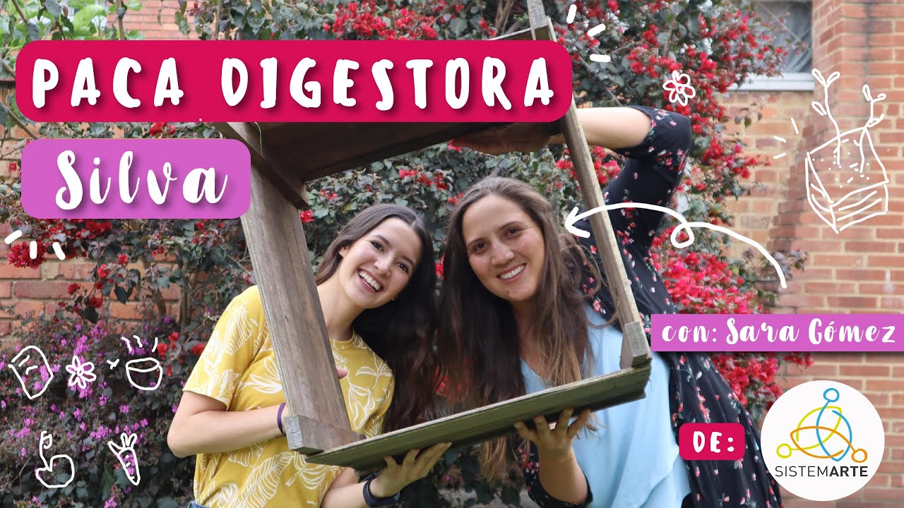 Cómo hacer la PACA Digestora Silva | Sofi Garcés y Sistemarte - YouTube