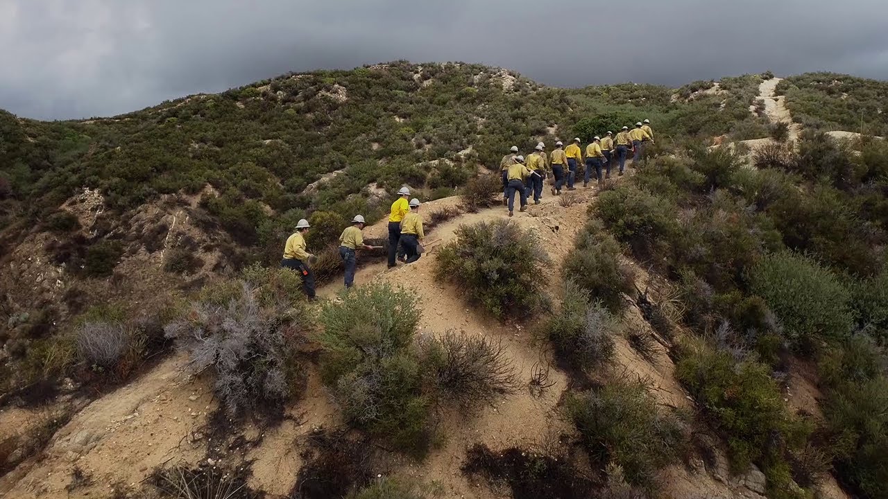 Microsoft Partner - 3AM Innovations - YouTube