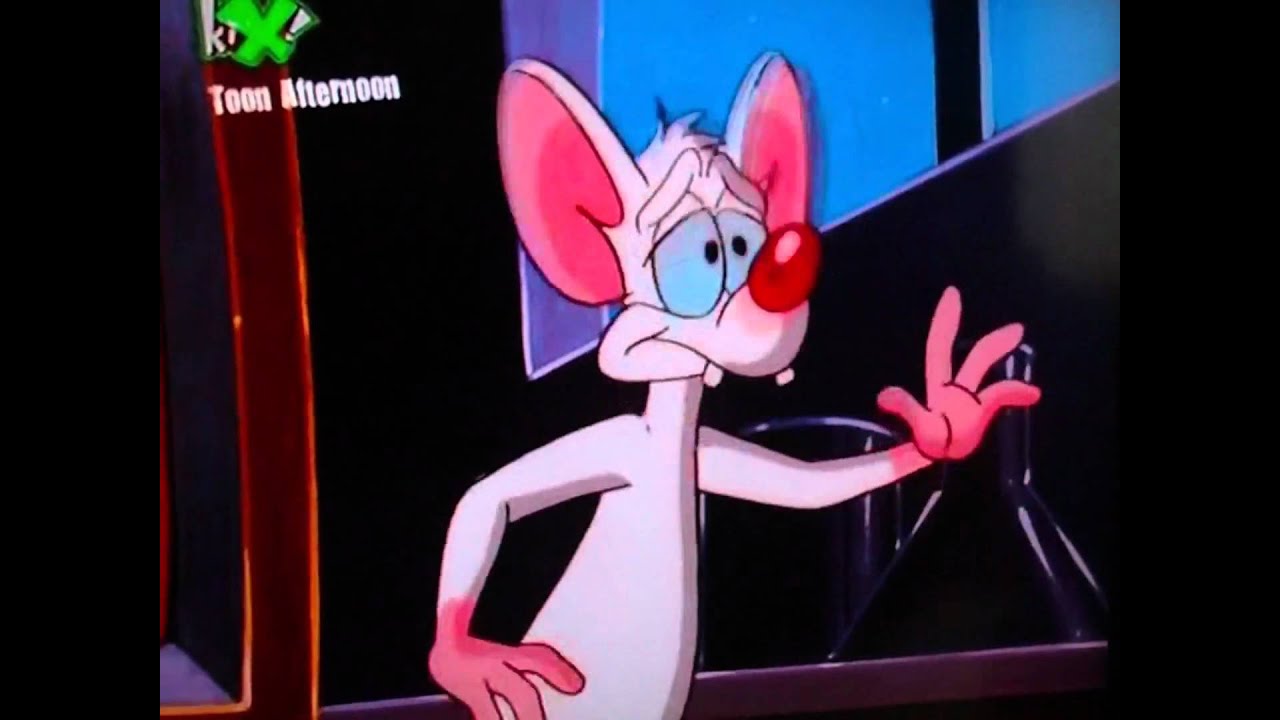 Pinky And The Brain Narf