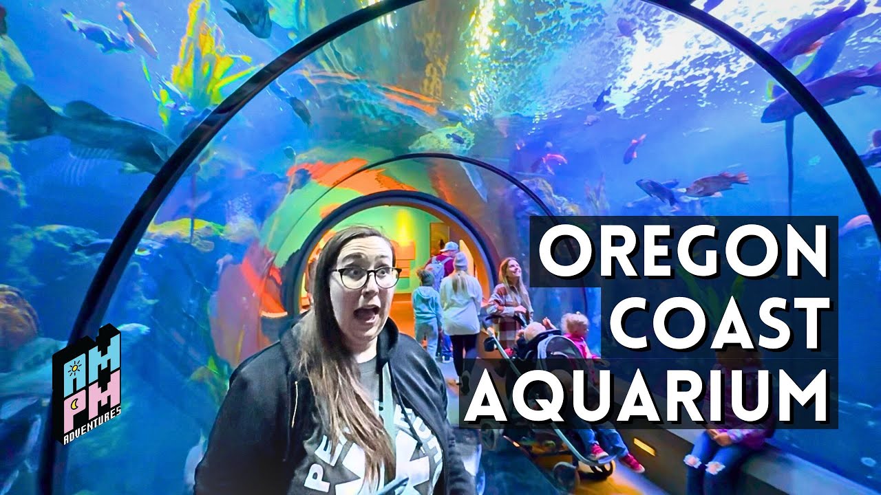 Oregon Coast Aquarium - AMPM IRL - YouTube