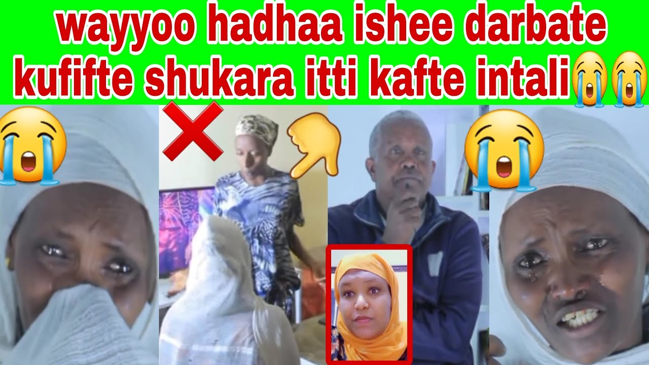 hadhaa ishee darbate kufifte intali kun wayyoo hadha koo malin jedha ...