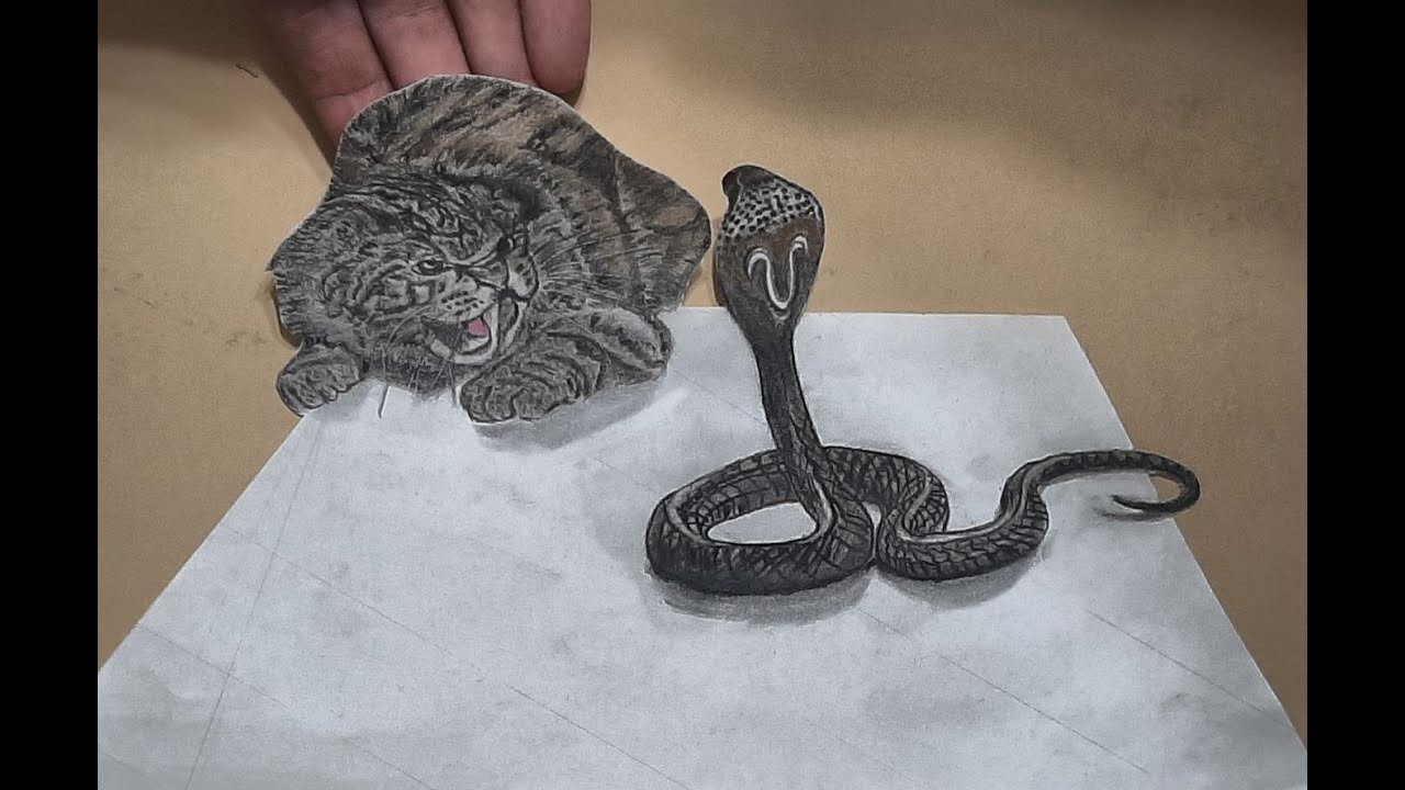 Cat vs Snake - graphite and color pencil drawing - YouTube