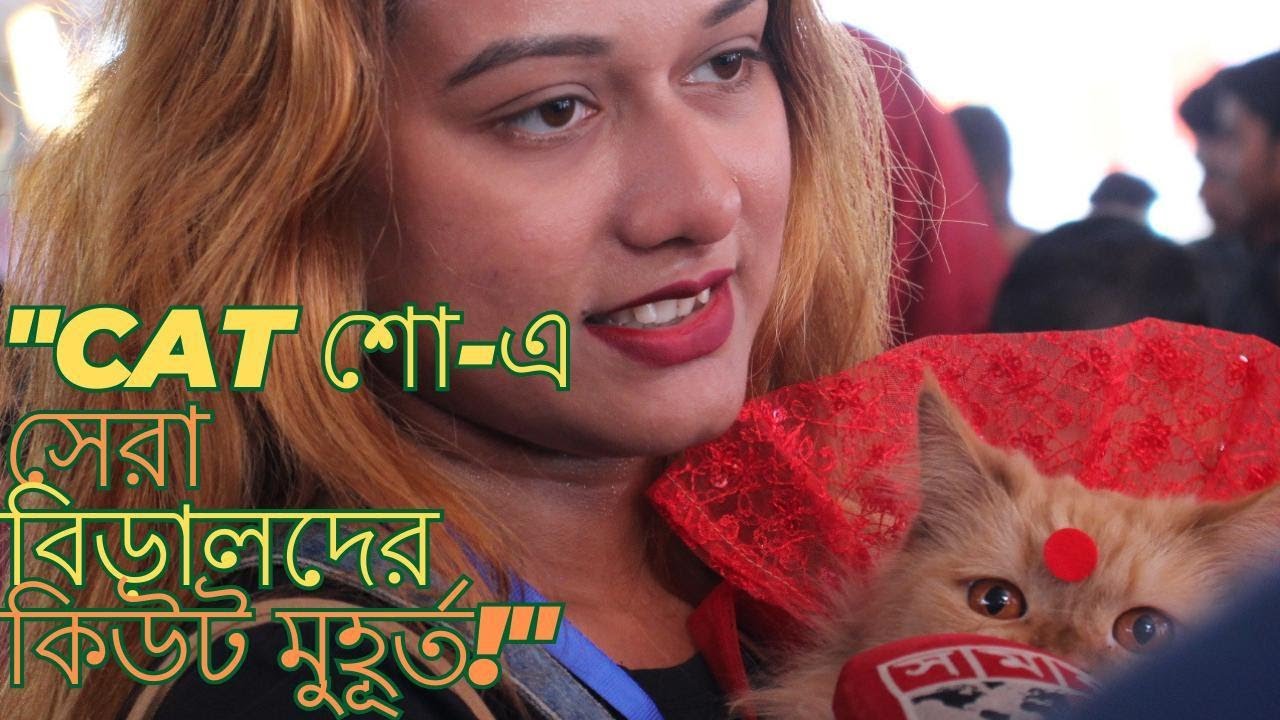 Mymensingh Cat Show 2025 | ময়মনসিংহ ক্যাট শো | Cat Lovers Even ...