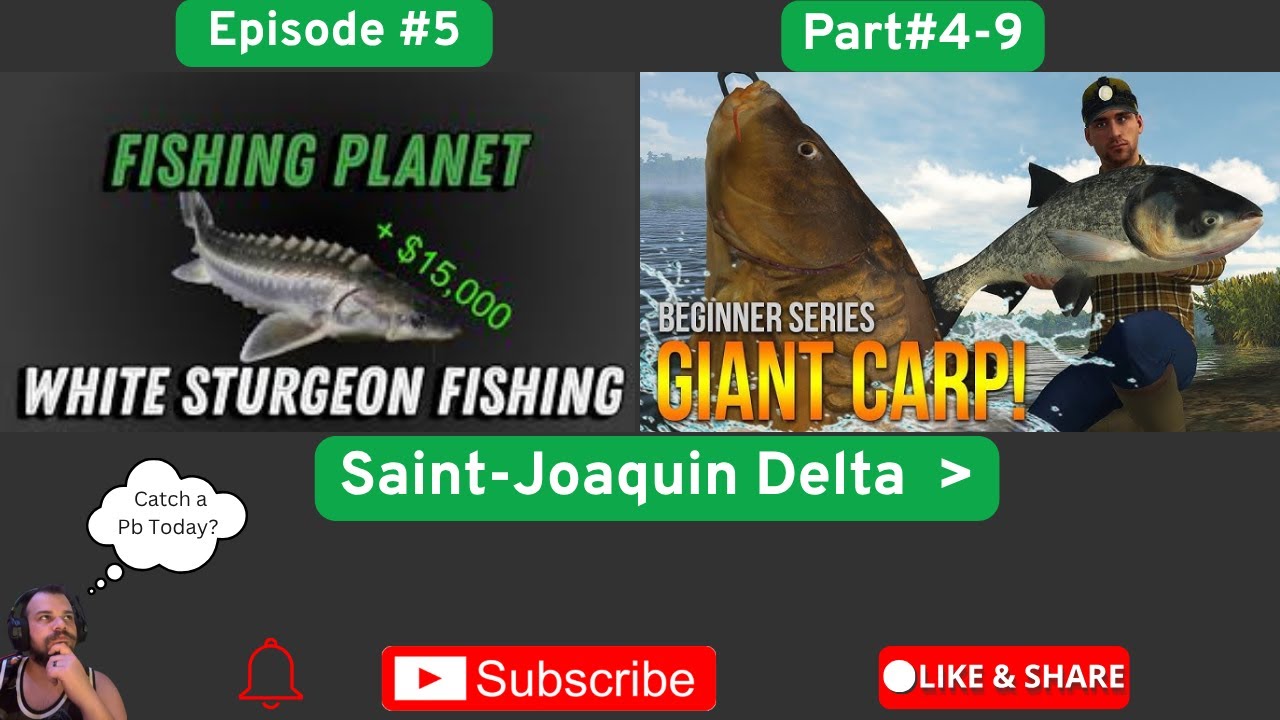 Episode #5 Part #4 Carp And Sturgeon Money Grinding #fish #live #Gaming ...