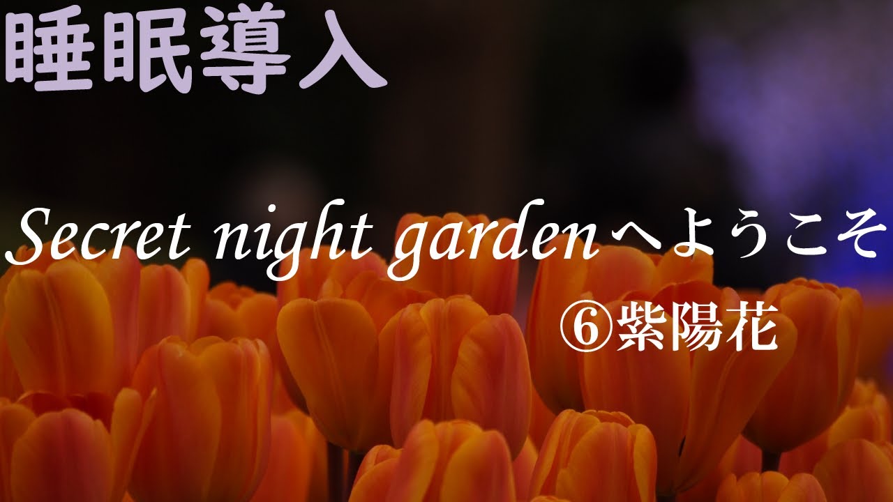 【睡眠導入】Secret night gardenへようこそ⑥紫陽花【睡眠用BGM｜花解説｜男性朗読】 - YouTube