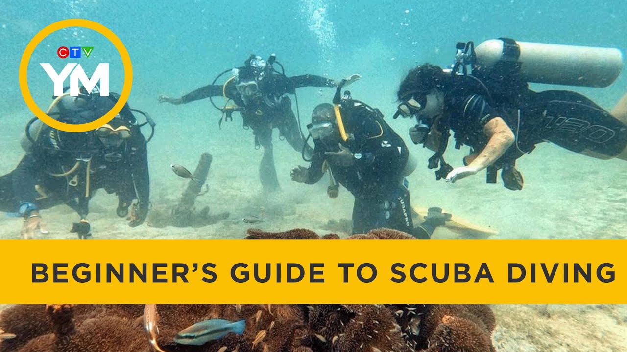 What to know about scuba diving | Your Morning - YouTube