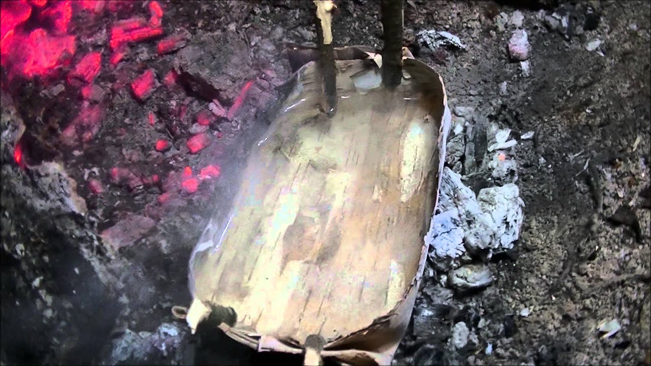 Survival skills - Purifying Water in a Birch Bark Container on the Fire ...
