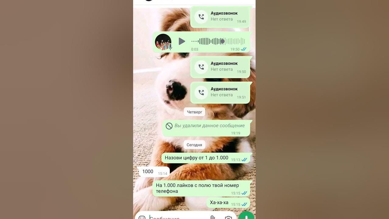 Подписывайтесь - YouTube