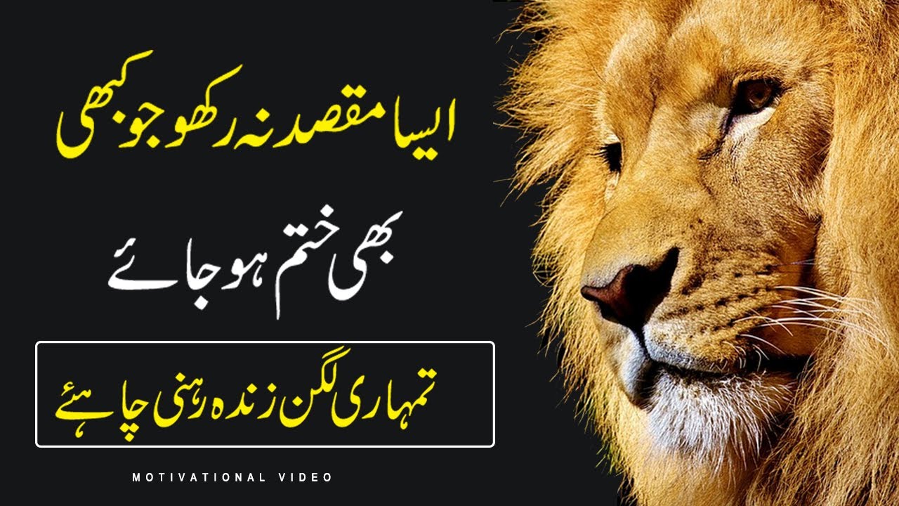 Motivation Become A Lion - The Lion Attitude | Loin Mindset One Of The ...