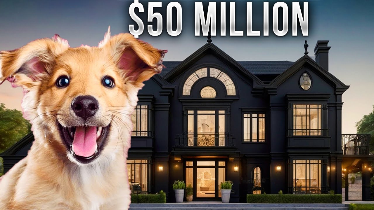 The Most Spoiled Pets in the World - YouTube