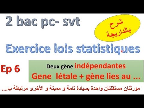exercice corrigée 6 loi statistique :dihybridisme avec gêne létale et ...