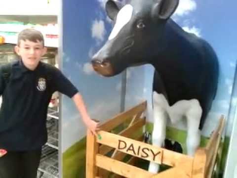 Daisy the cow asda - YouTube