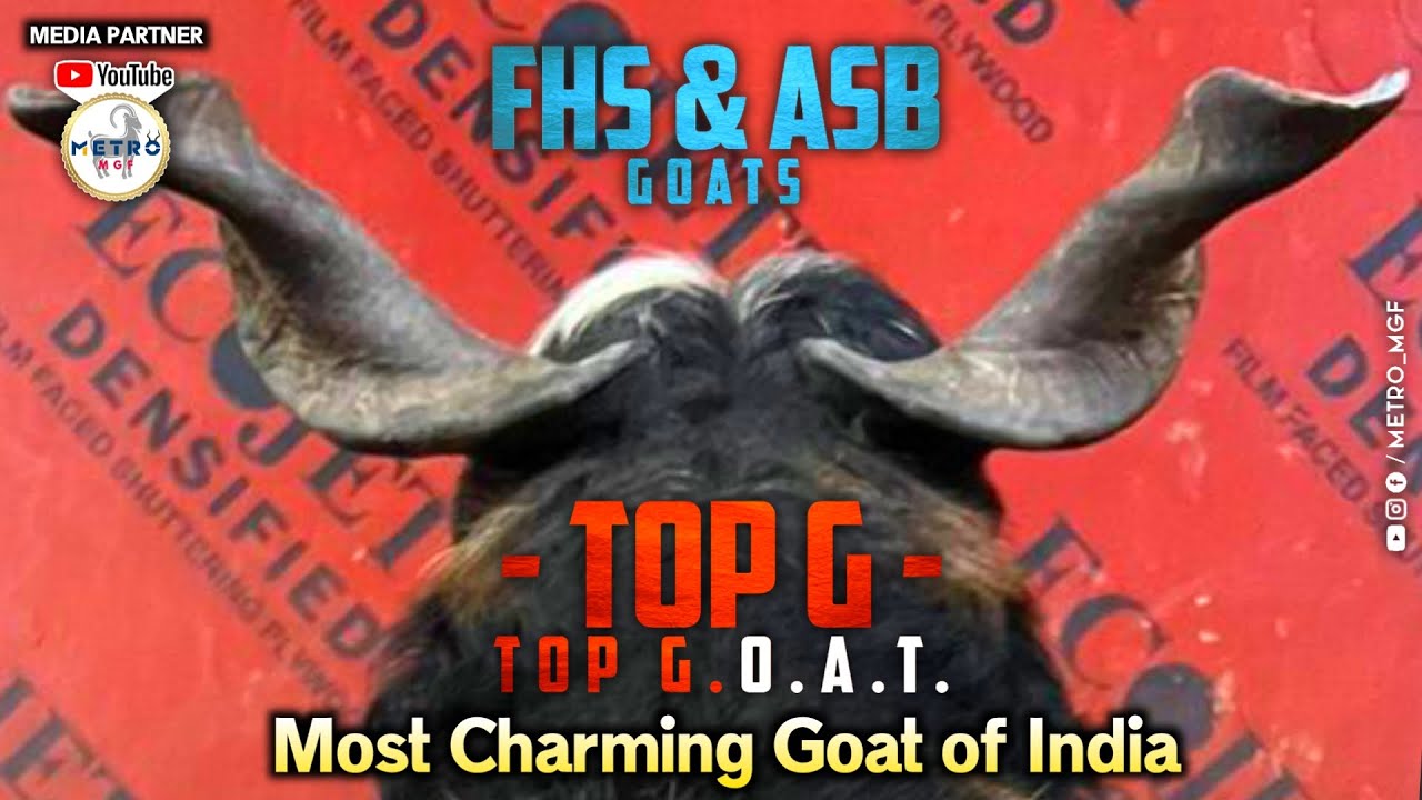 India's Top G Top GOAT by FHS & ASB Goats | Official Trailer | Metro ...
