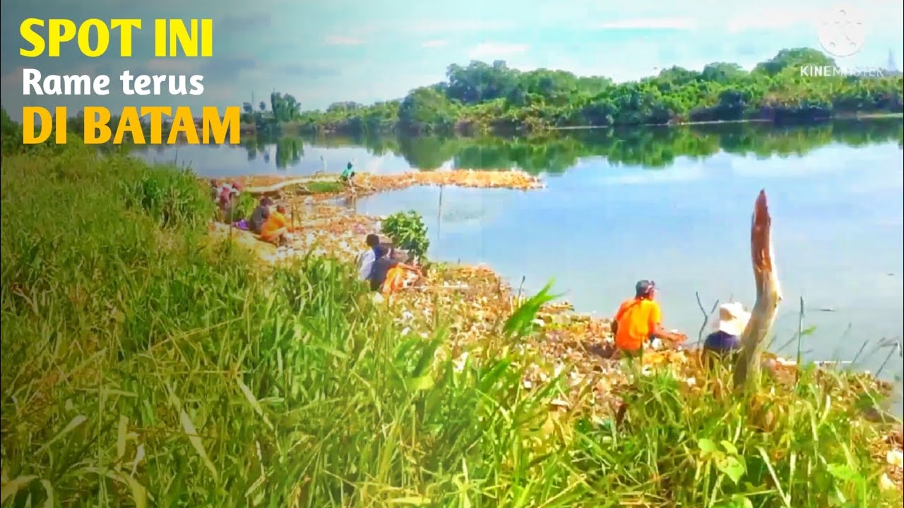 Spot mancing favorit di batam || Ikan mujair dan nila nya banyak# ...