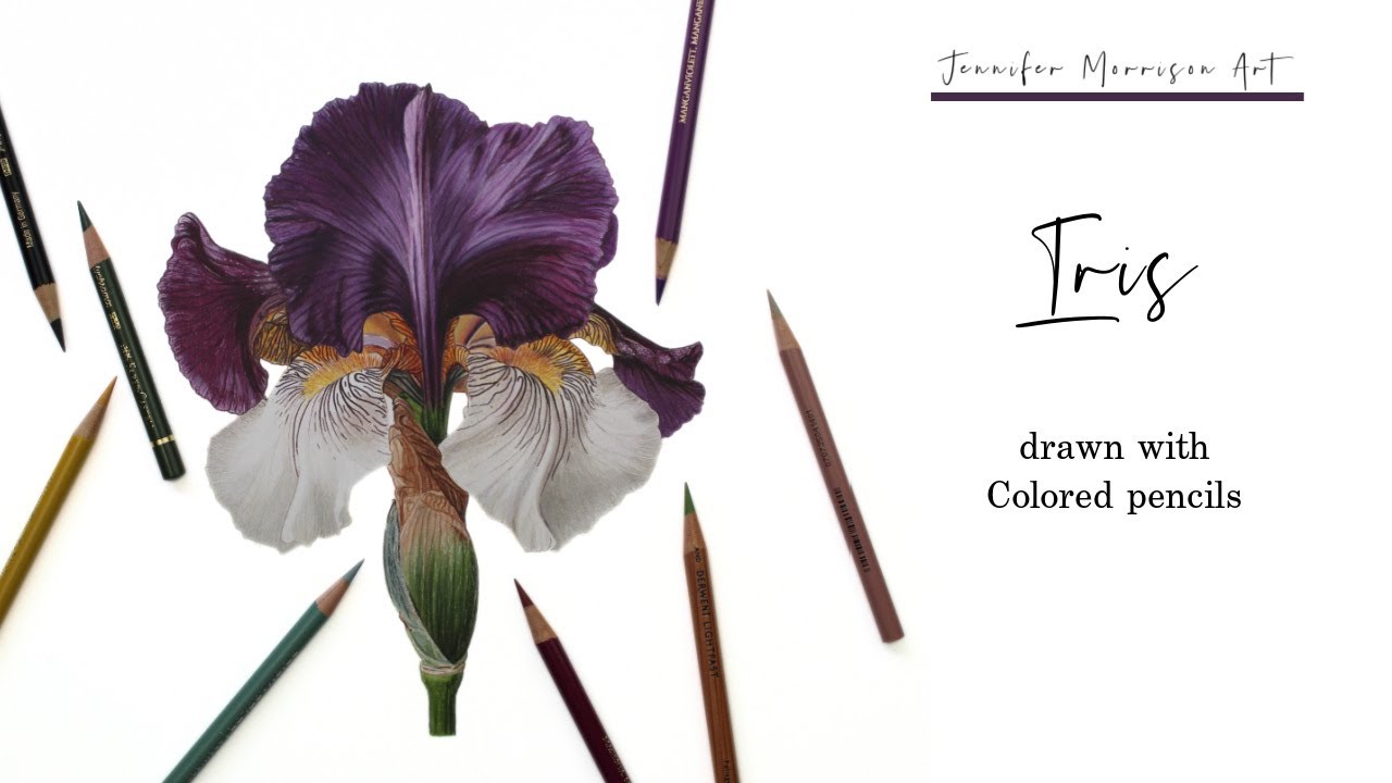 Drawing a Realistic Iris Why Practice Makes Perfect - YouTube