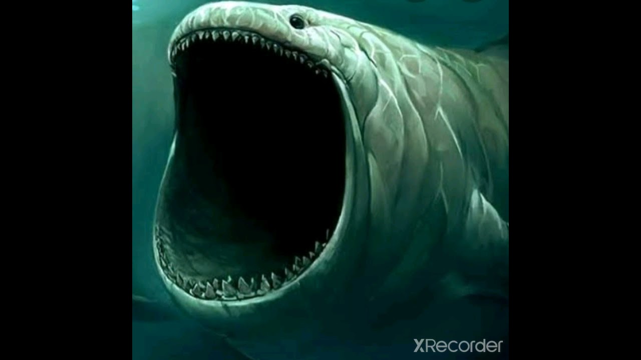 Julia vs Bloop (biggest sea beast) - YouTube