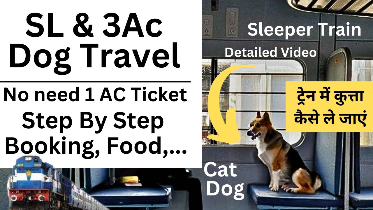 {SL/3AC} How to take a dog in the train - traveling with your dog by ...