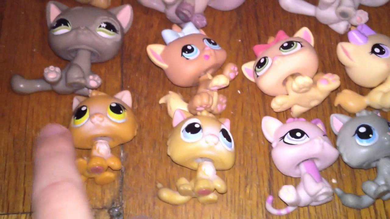 LPS: How To Categorize Your LPS! - YouTube