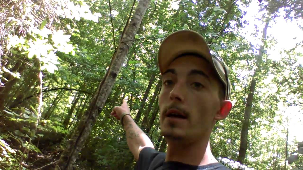 How to find a good deer hunting spot - YouTube