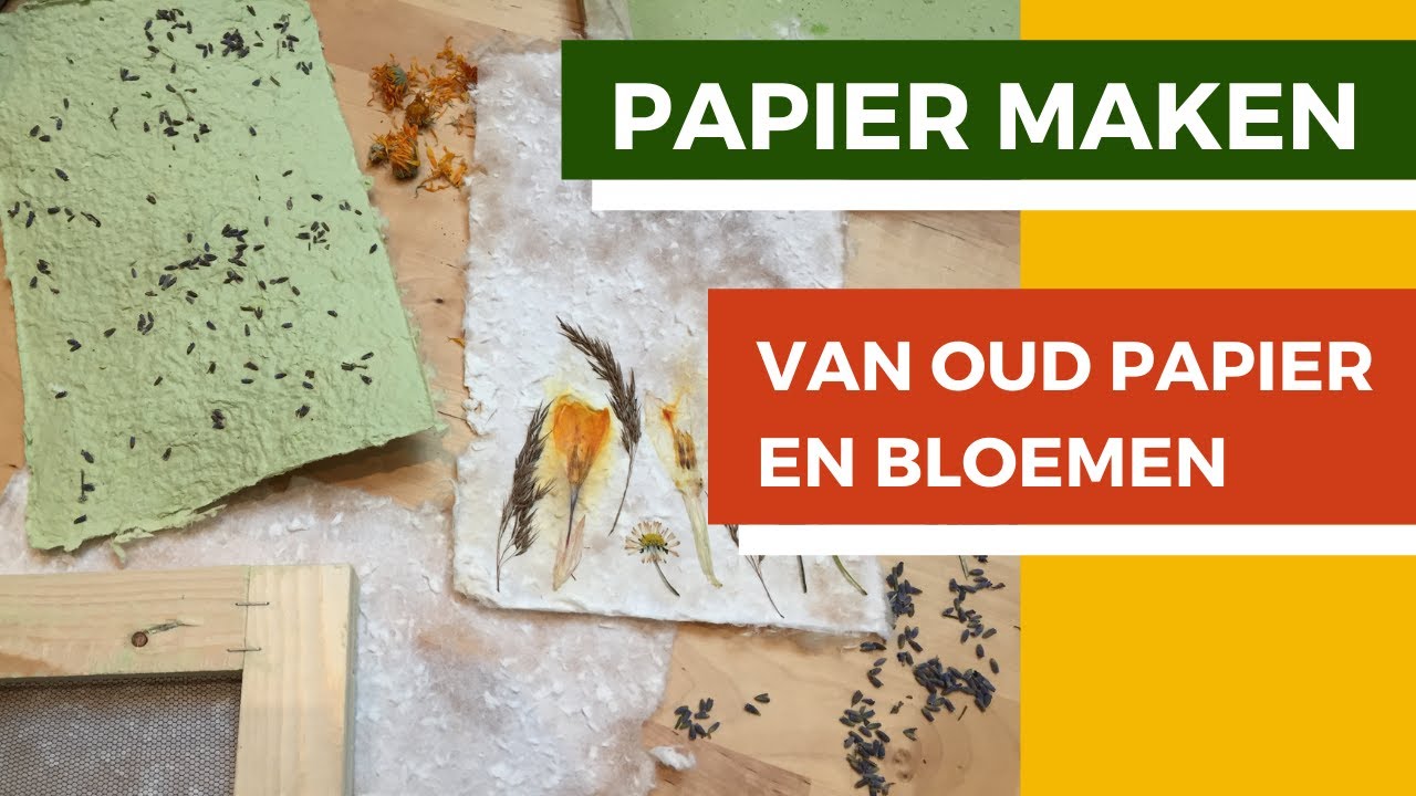 Papier maken van oud papier en gedroogde bloemen | Hoe je papier moet scheppen met een schepraam ...