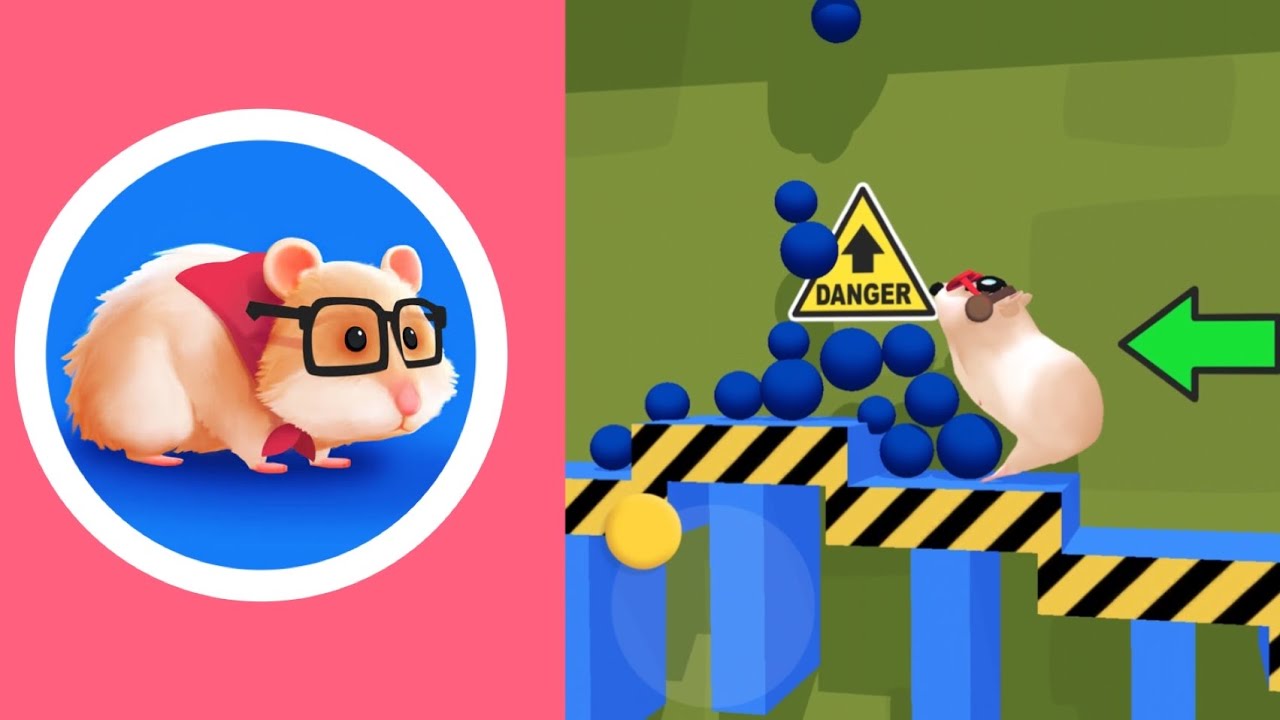 เกมส์หนูแฮมเตอร์ Hamster maze game #6 พาไปดูบ้านเจ้าหนูแฮมเตอร์ by พี่ ...