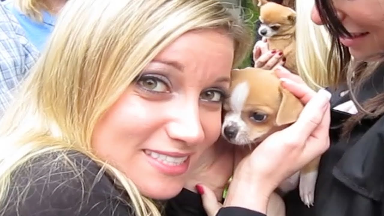 Puppy Love - YouTube