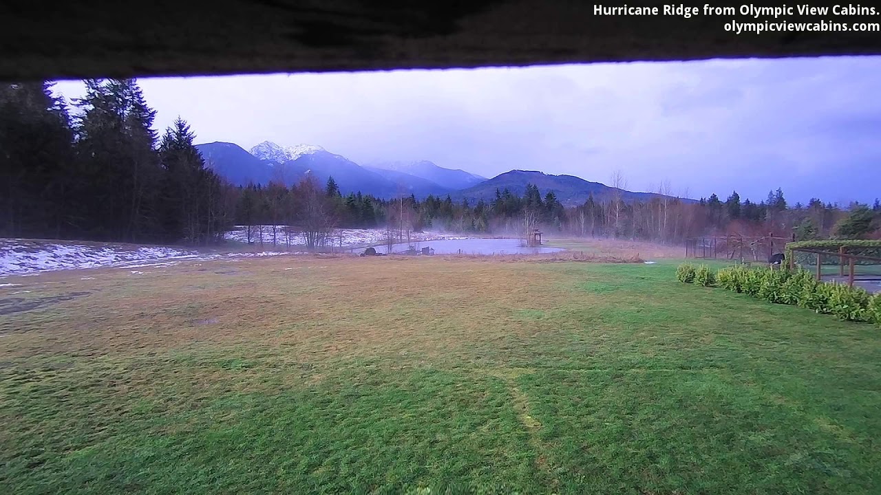 2020-01-23 Olympic View Cabins Hurricane Ridge Cam - YouTube