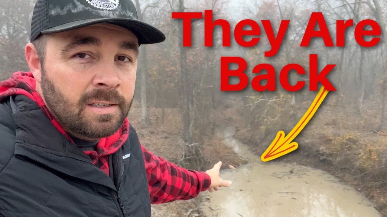 If You Build it They Will Come! - YouTube