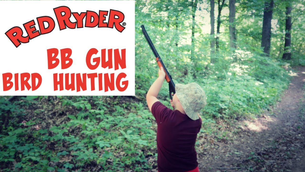 Bird Hunter / Red Ryder BB Gun / Kids Hunting / FiveFold Outdoors - YouTube
