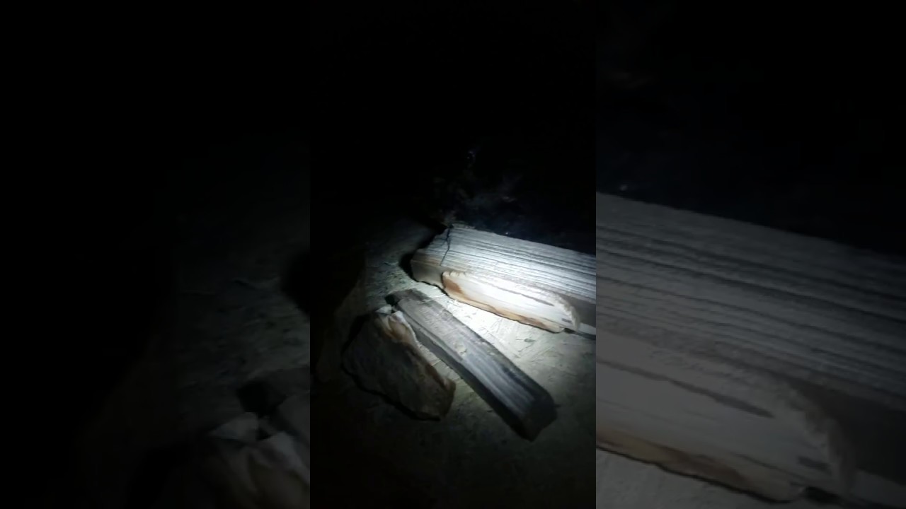 Fluorescent Petrified Wood - YouTube