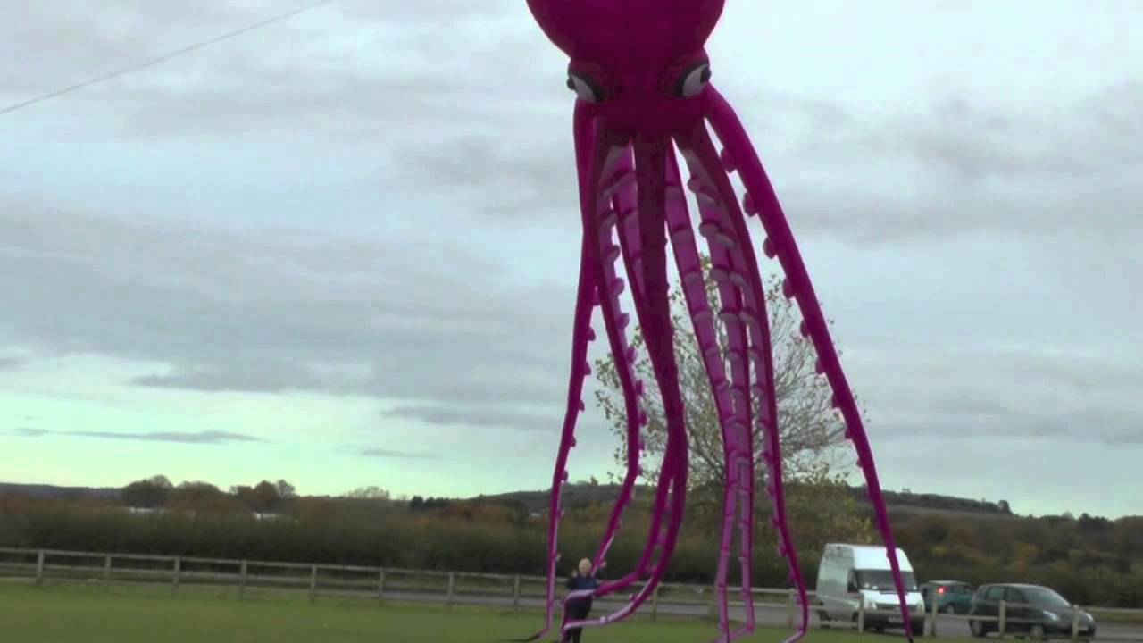 Giant Pink Octopus - YouTube