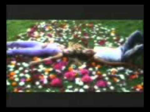 дима тэн цветы